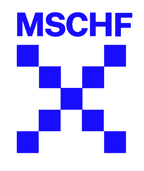 MSCHF X